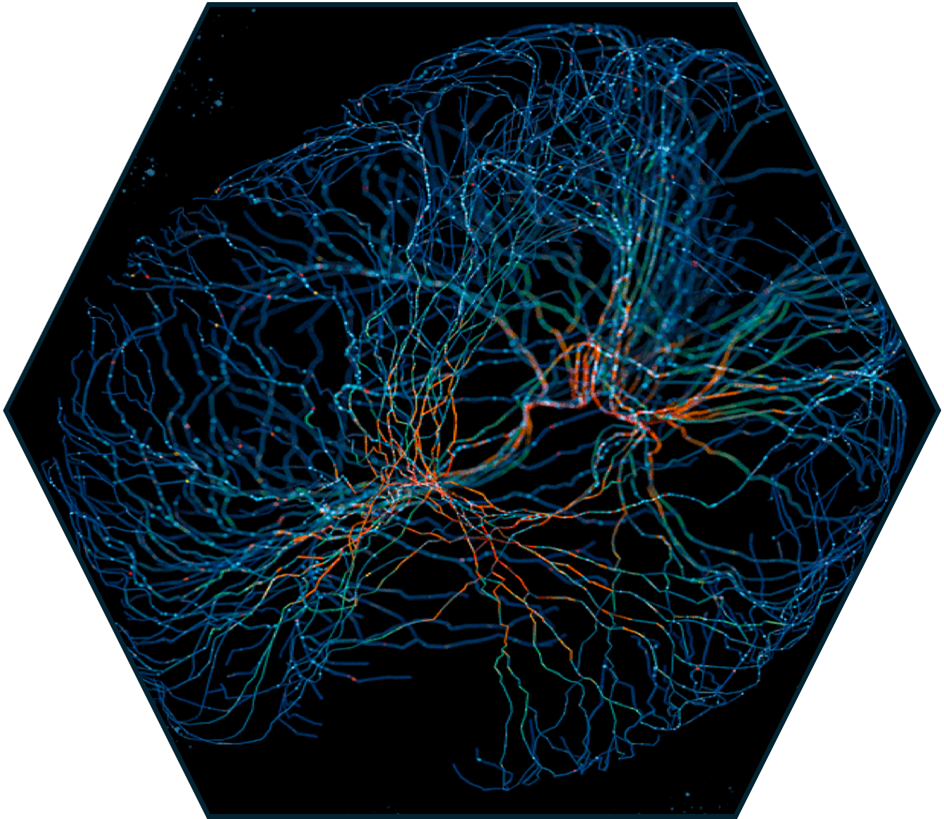Computer Vision on Medical Images | Avisha Kumar